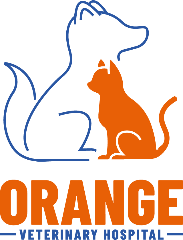 Orange Veterinary Hospital | Best Veterinary Care in Orange, CT | 24/7 ...