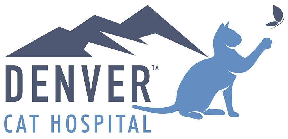 Denver Cat Hospital | Best Veterinary Care in Denver, CO | 24/7 Pet Care