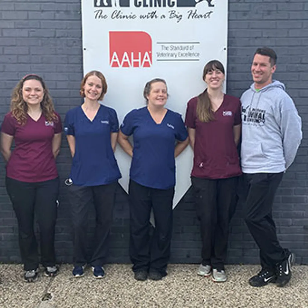 St. Matthews Animal Clinic | Best Veterinary Care in Louisville, KY ...