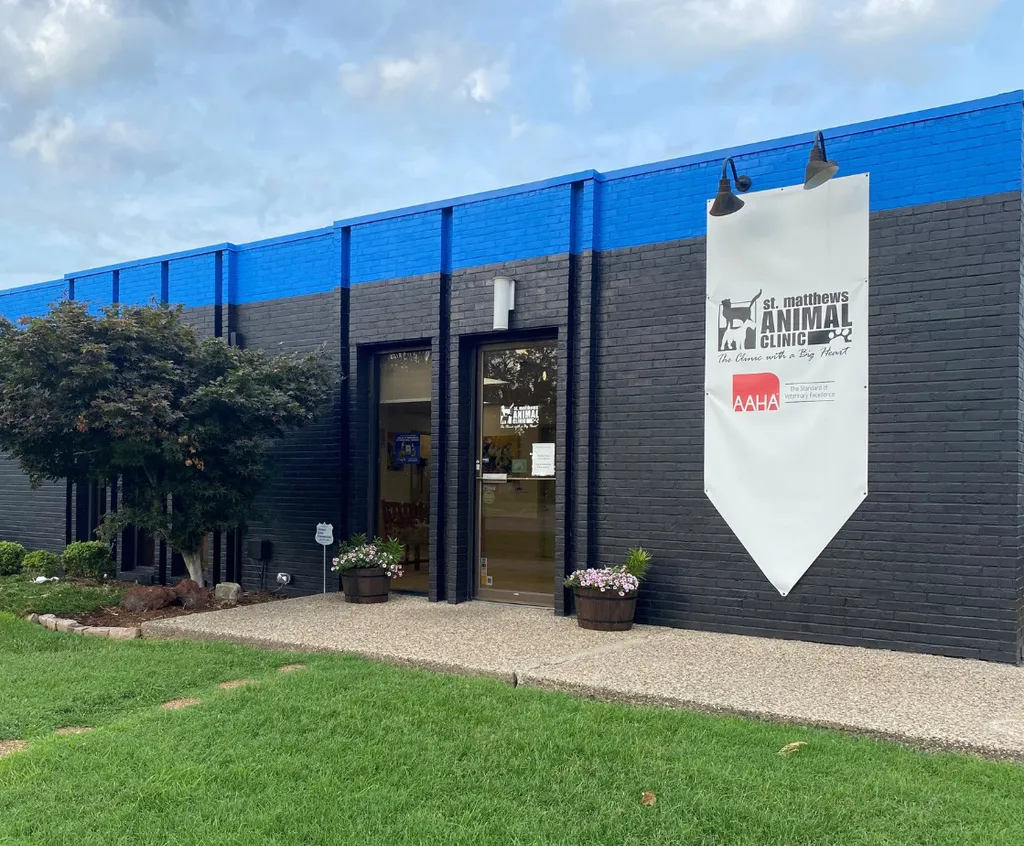 St. Matthews Animal Clinic | Best Veterinary Care in Louisville, KY ...