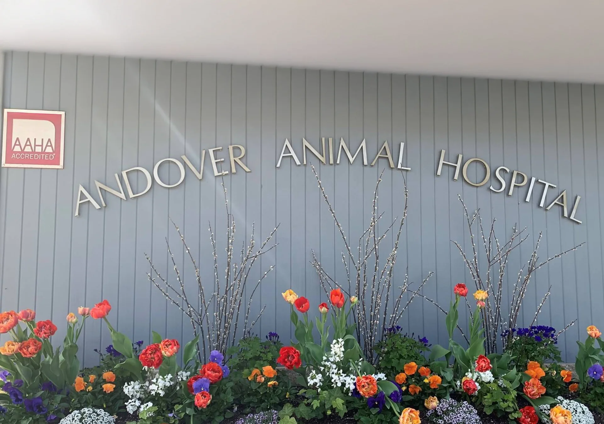 About Andover Animal Hospital | Trusted Veterinary Clinic in Andover