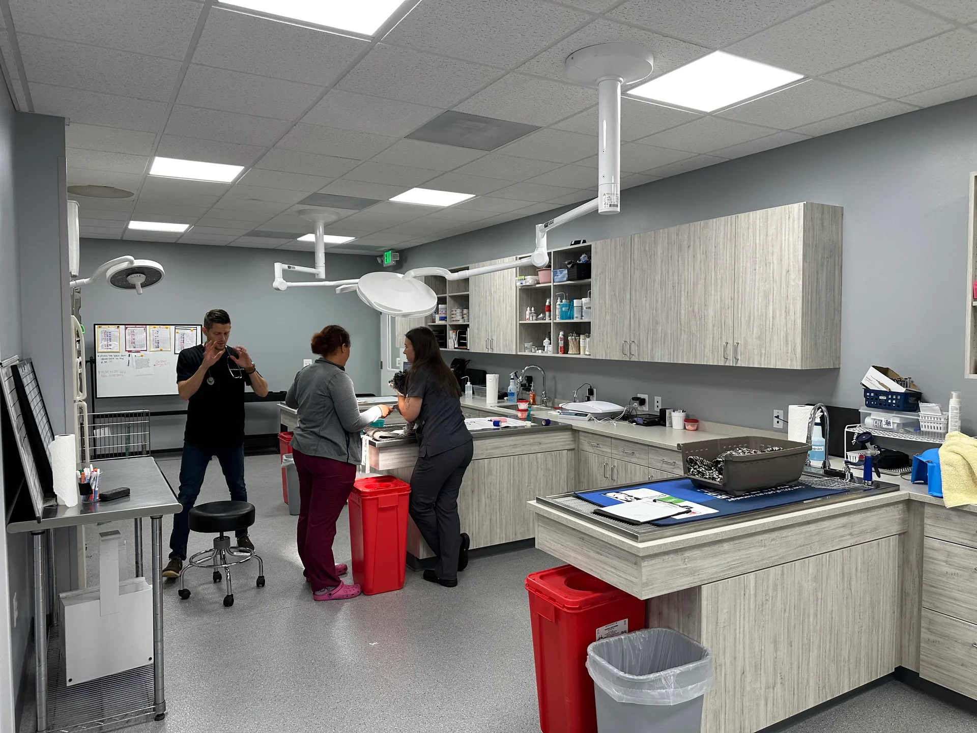 About Owings Mills Veterinary Center | Trusted Veterinary Clinic in ...