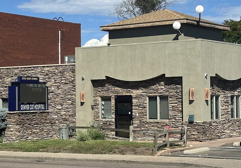 Denver Cat Hospital | Best Veterinary Care in Denver, CO | 24/7 Pet Care